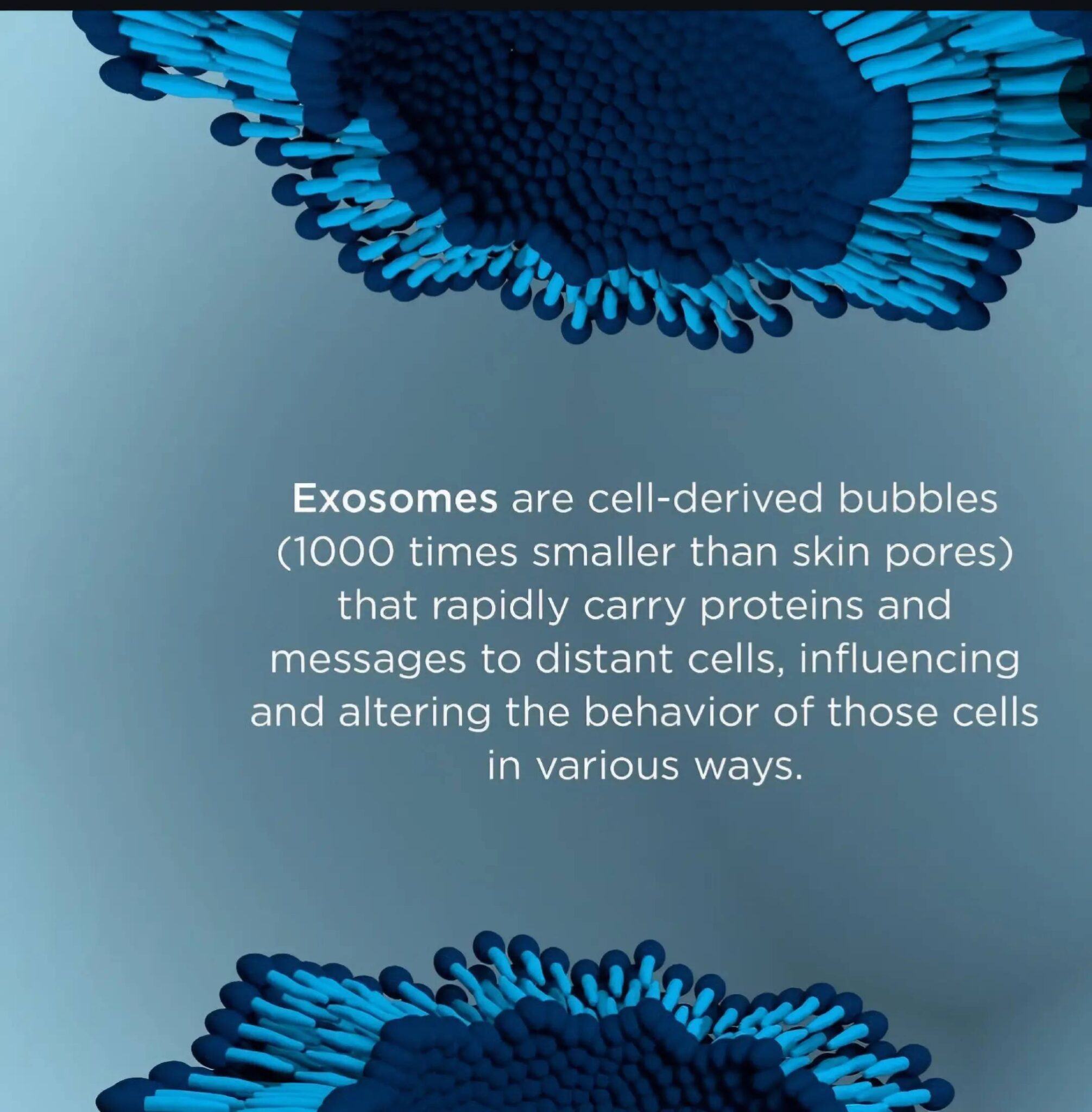 All About Microneedling with Exosomes – Paradise Wellness